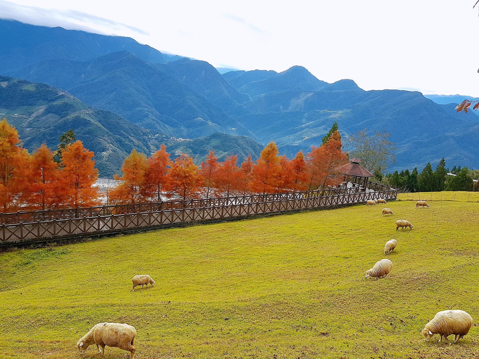 一籃子好物 - iOPEN Mall