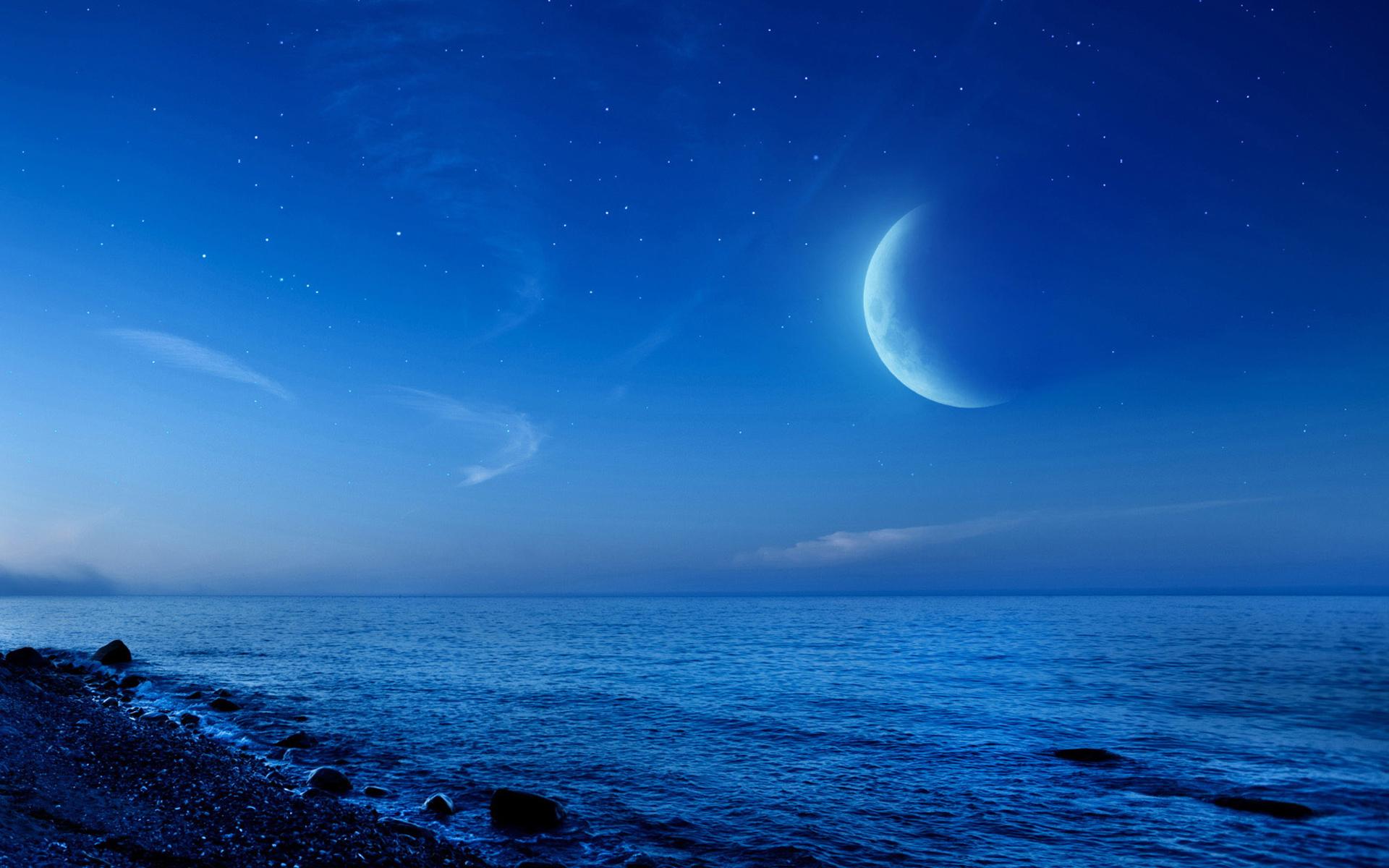 YOYO SHOP - iOPEN Mall