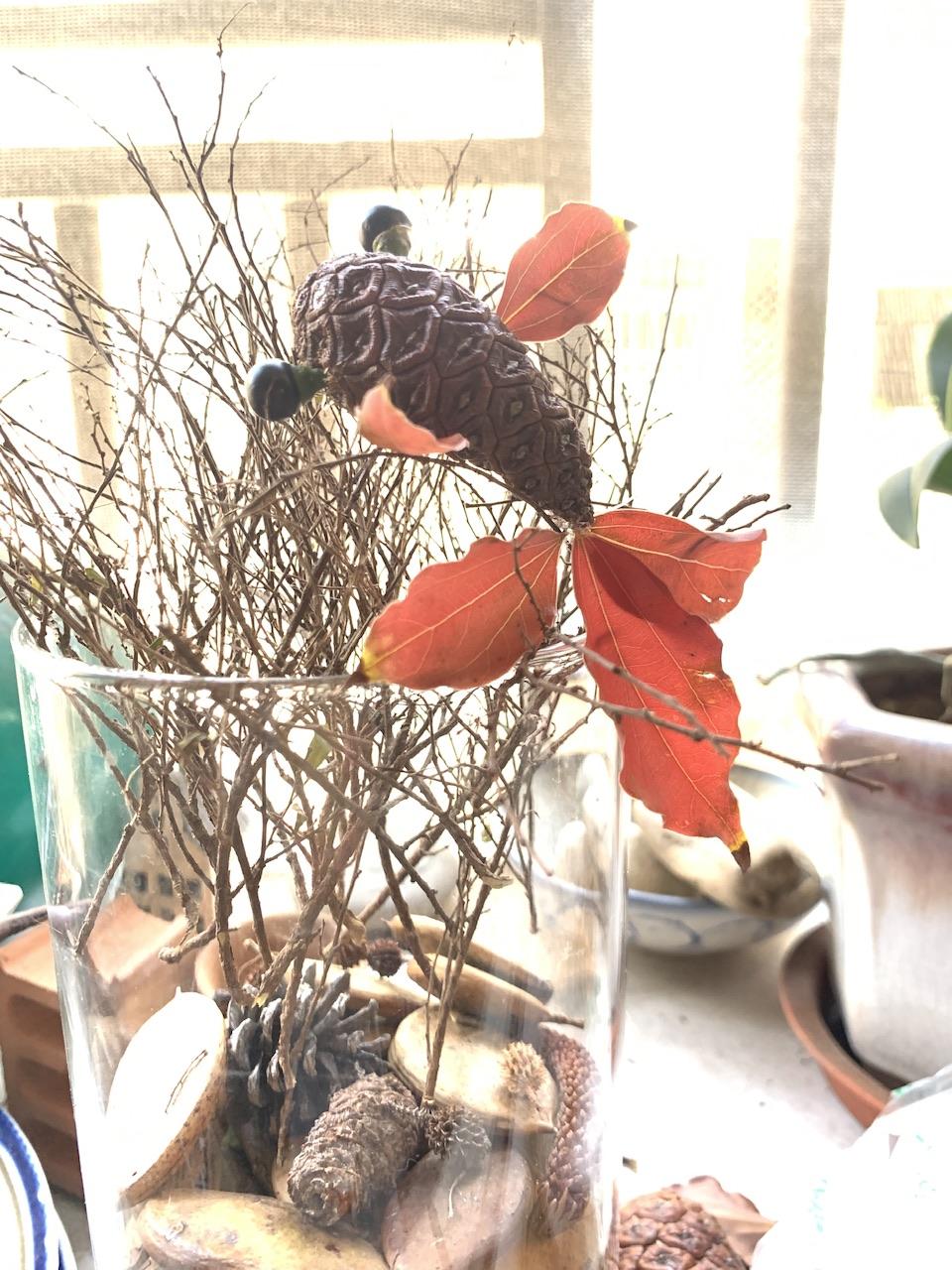 毛小爺吃瓜 - iOPEN Mall