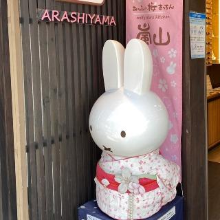 日本cogit bio空調除霉噴霧100ml - XUAN日本代購