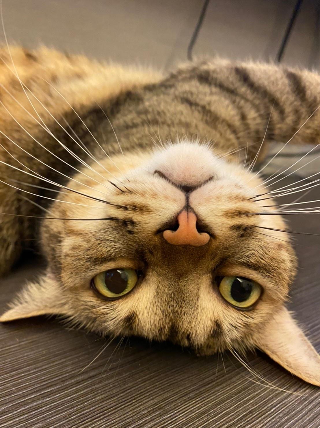 雜貨店 - iOPEN Mall