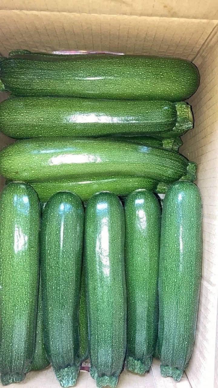 貿易公司 - iOPEN Mall