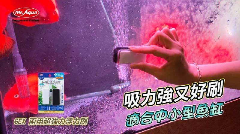 迪加購物【愛護寶貝】【現貨】GEX 兩用超強力浮力刷 - 迪加購物 生活 美食 水族 爬蟲 - iOPEN Mall