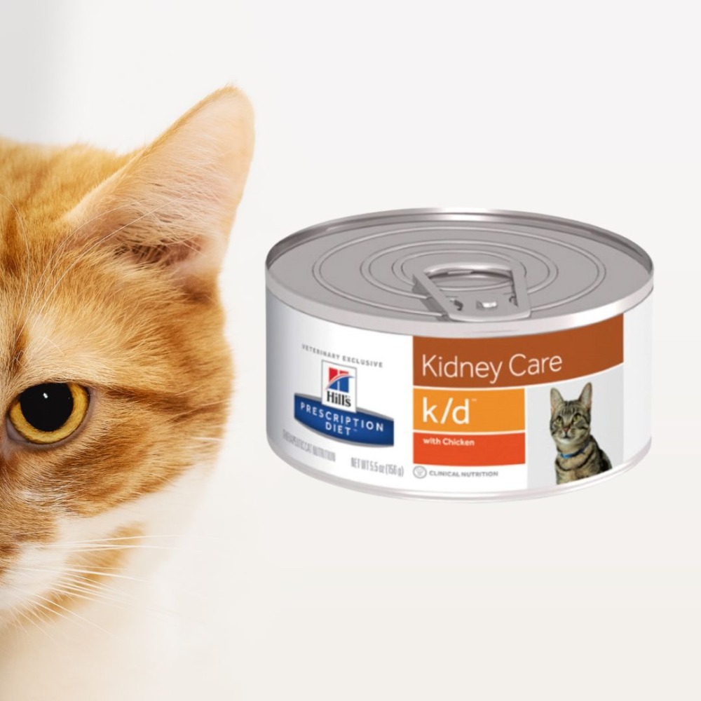 Hills 希爾思 貓 K/D Kd 罐頭 156g 腎臟護理 希爾斯 希爾思 9453 - 放開那隻貓的腳 - iOPEN Mall