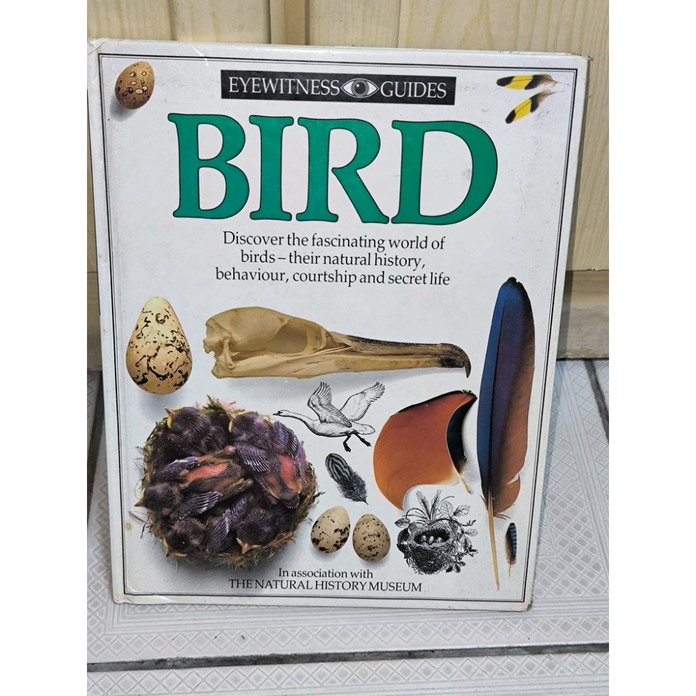 二手書-bird eyewitness guides 英文書 - 雙圓圈SS - iOPEN Mall