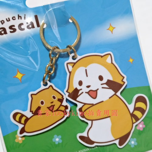 【小小浣熊 icash 飛高高 空卡 鑰匙圈】 Puchi Rascal 愛金卡 吊飾三貝多 授權 可愛 浣熊 角色 新 - 美少女戰士 lockykimo - iOPEN Mall
