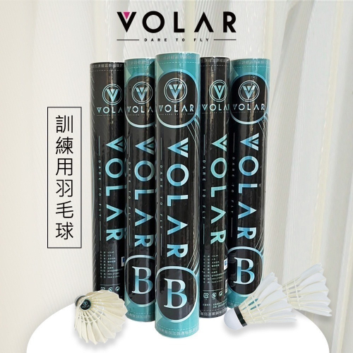 Volar 新球 Volar B 嚐鮮價 天然鵝毛 飛行穩定 練習級 初學者 3筒 不單售 - 羽球世家體育用品社 - iOPEN Mall