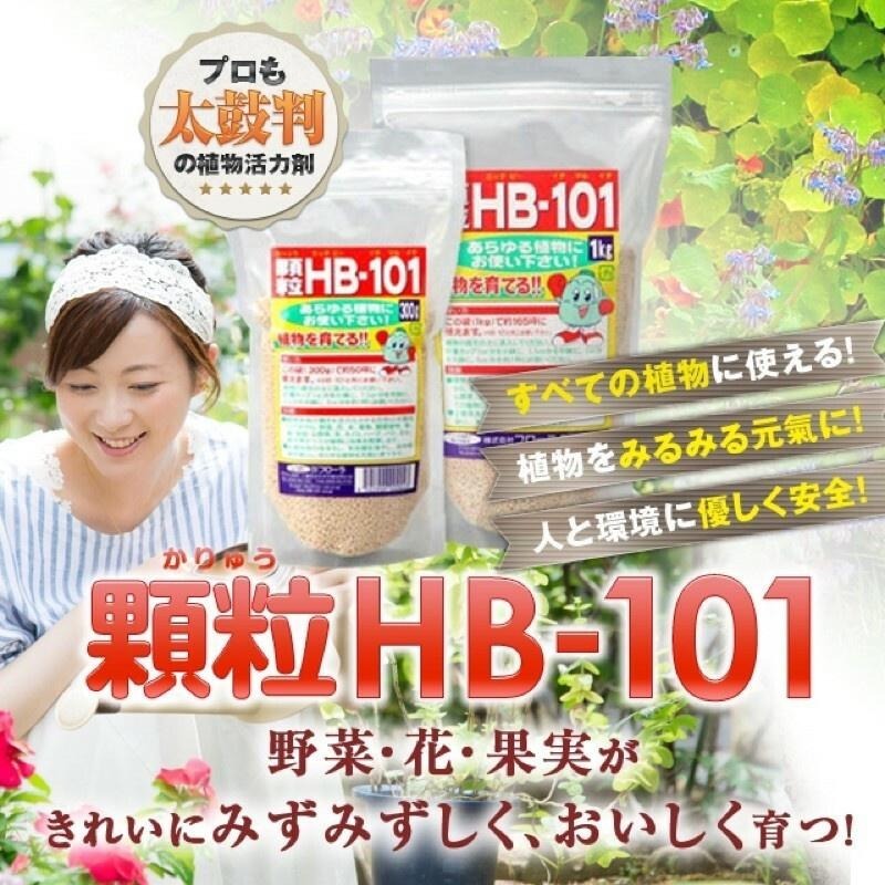 日本原裝進口 顆粒HB101 原裝300克 觀葉植物 鹿角蕨 多肉 塊根適用 |Hao Plants 🌱現貨速發 - HAO Plants 好 ...