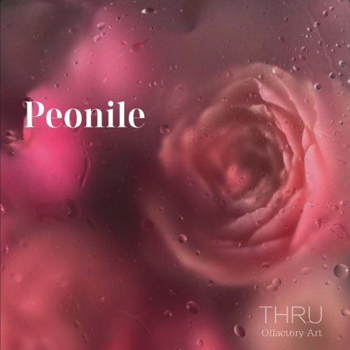 Peonile 單體調香原料 - THRU olfactory art - iOPEN Mall