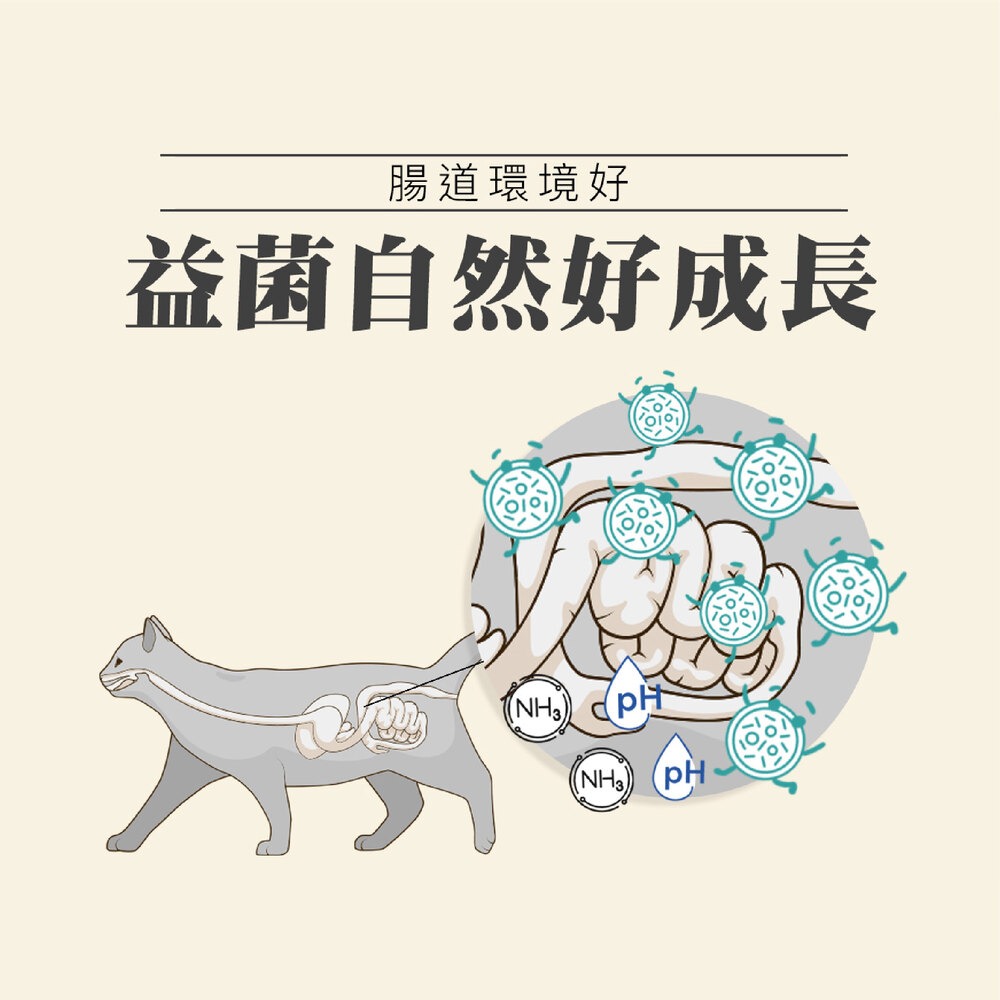 【阿寶】 Abao 好命罐 微肉絲貓咪主食罐 貓主食罐 貓罐 全齡貓罐 箱購優惠 4款任選 80g - 毛樂子 - iOPEN Mall