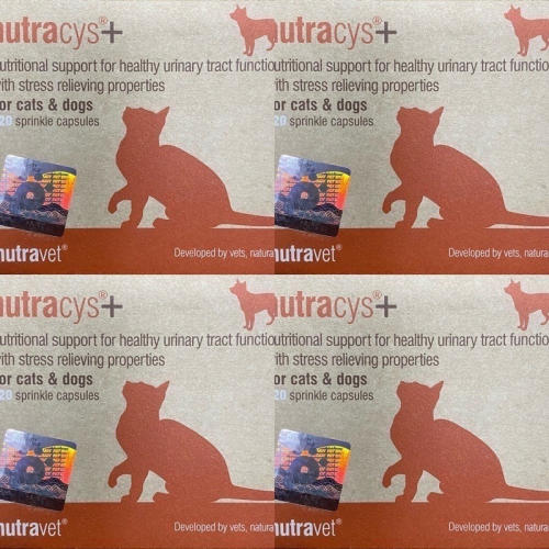 最新效期2025/6誠實納稅 發票必備 🌟 樂寵 尿益通 nutraease 220顆~~ - 樂福笑笑 - iOPEN Mall