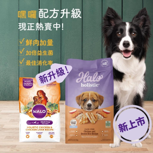 【MOG&DOG】HALO 嘿囉 犬飼料 3.5lb/10lb - MOG&DOG