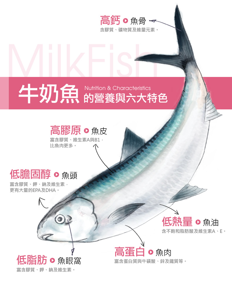 【府城館x虱目魚】SabaFish-焢魚精 Milkfish Essence (70毫升X5包/盒) - 府城館 X 虱目魚主題館