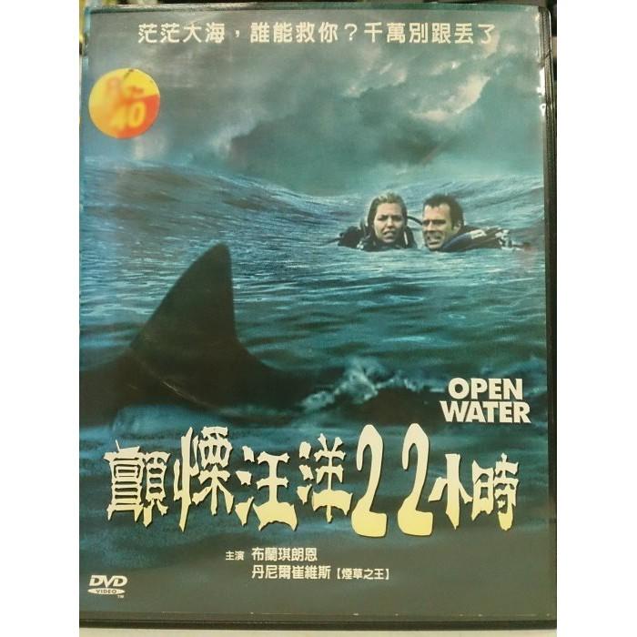 影音大批發-E08-031-正版DVD-電影【顫慄汪洋22小時】-布蘭琪朗恩 丹尼爾崔維斯 - 影音大批發 - iOPEN Mall