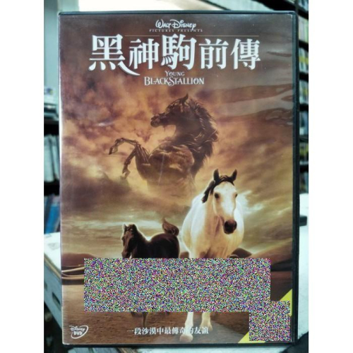 影音大批發-K02-008-正版DVD-電影【黑神駒前傳】-迪士尼 一段沙漠中最傳奇的友誼 - 影音大批發 - iOPEN Mall