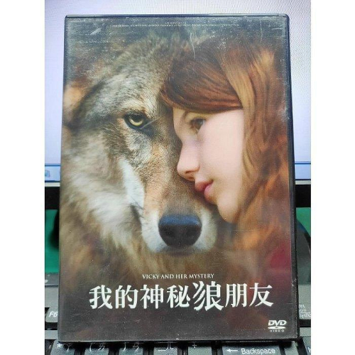 影音大批發-Y54-737-正版DVD-電影【我的神秘狼朋友 便利袋裝】-靈犬貝兒系列製作團隊再造全新動人故事 - 影音大批發 - iOPEN Mall