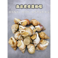 F195 愛爾蘭野生熟凍海螺(500克/約23-30顆/包) - 曾千惠的百寶箱(美食+家居)0936-372-186 - iOPEN Mall