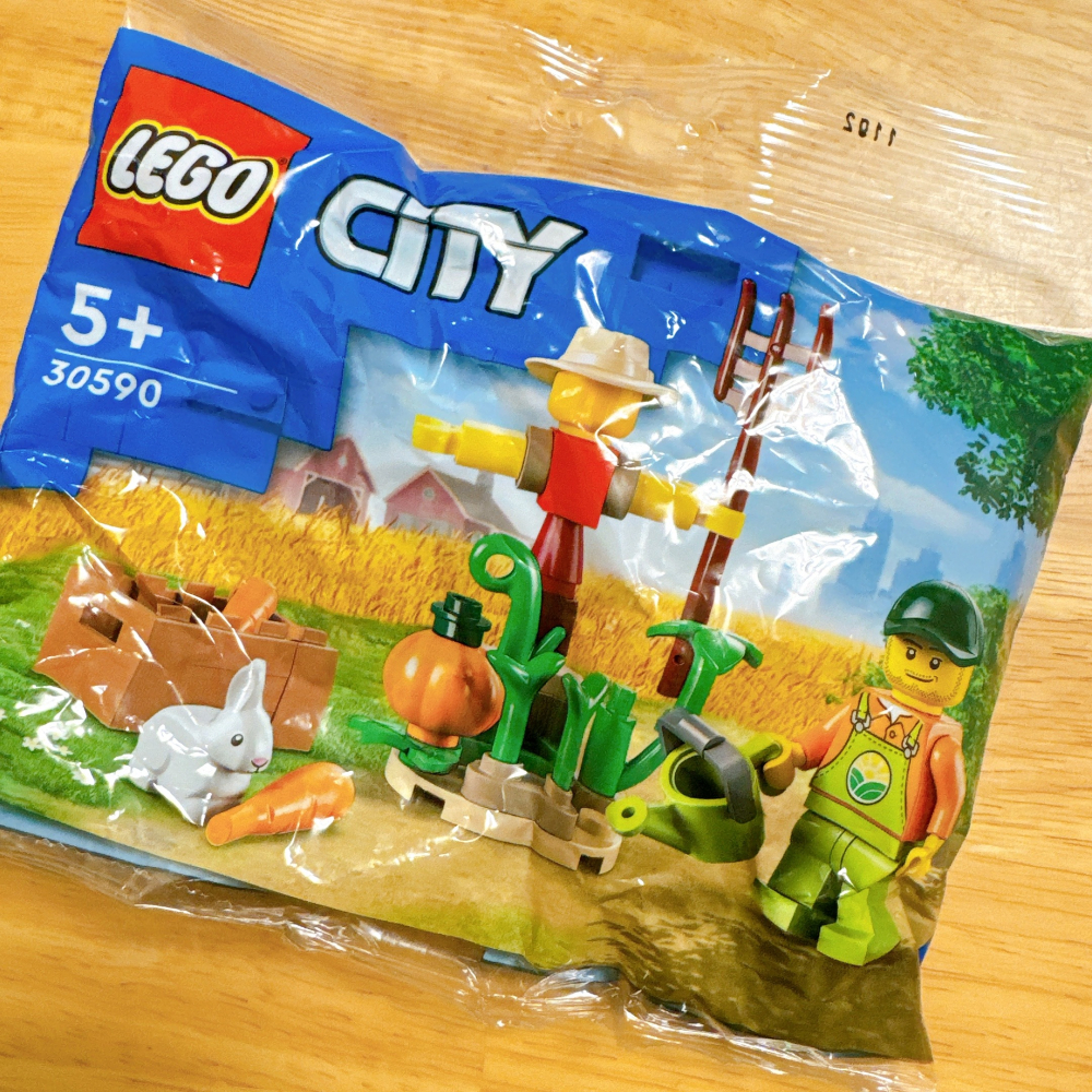 樂高 LEGO 30590 CITY 稻草人與田地 稻草人 polybag - 木木·仕事部屋 Mu Mu Studio - iOPEN Mall
