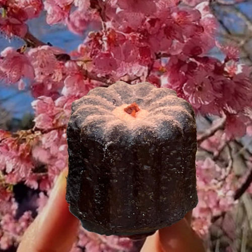 JUNO-冷凍甜點快速選購區，滿2000店取免運。 - 逗可可甜點研究室 - iOPEN Mall