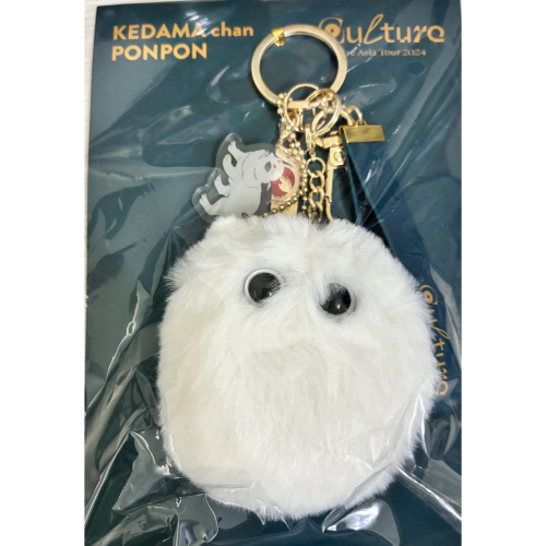Eve asia culture 周邊 KEDAMA chan PONPON 鑰匙圈 Eve mv figure - culture ...