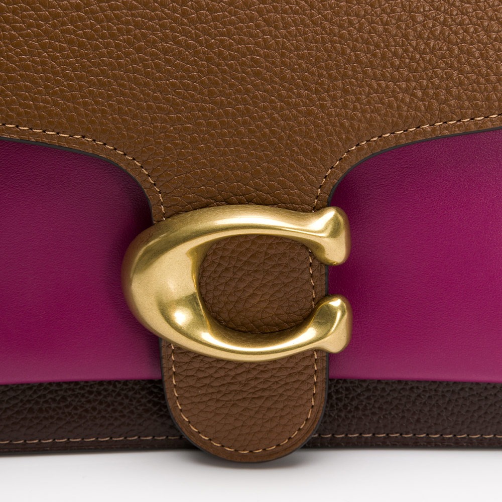 【COACH 蔻馳】 COACH 76105 TABBY (火龍果撞色) __DVSHOP 保證正貨 台灣現貨不用等 - DV SHOP ...