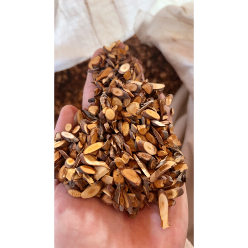 越南產《桂枝》一台斤600g 出貨超快速🚀 - 青草聊事 - iOPEN Mall