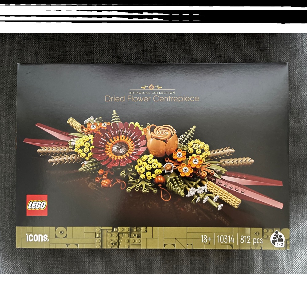 #阿基米鵝#LEGO 樂高 10314 乾燥花擺設 全新未拆 - 阿基米鵝的樂高小舖 - iOPEN Mall