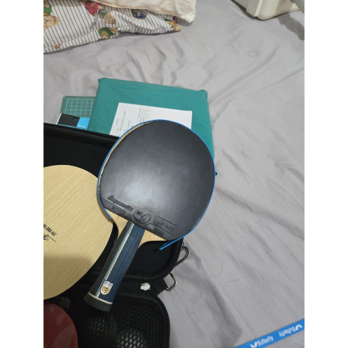 二手張本alc 黑D09紅D05 - 桌球 - iOPEN Mall