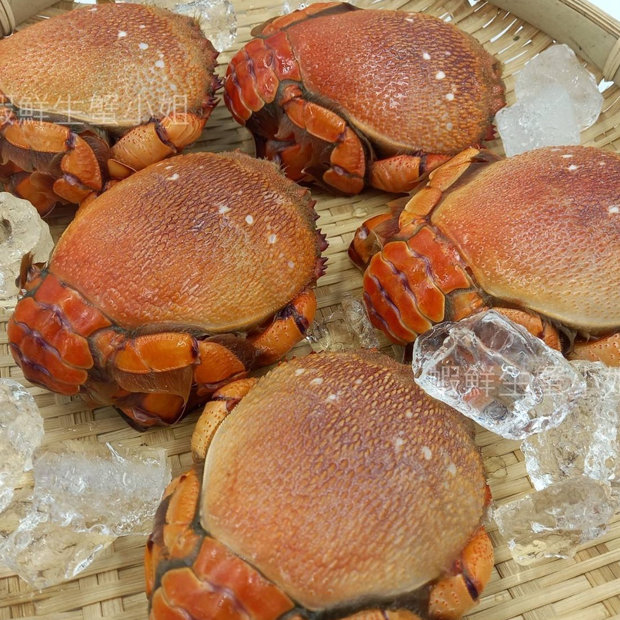 【蝦鮮生蟹小姐】旭蟹(公) 150-200 6公斤/整箱 * 殼薄肉多,滋味鮮甜 **每箱2340元** - 蝦鮮生蟹小姐 - iOPEN Mall