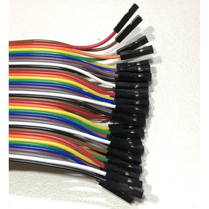 1664 2.0mm 轉 2.54mm 40P杜邦線 母對母 雙頭2P-1P膠殼 長20cm 40根一排 - 宇倉電子有限公司 - iOPEN Mall