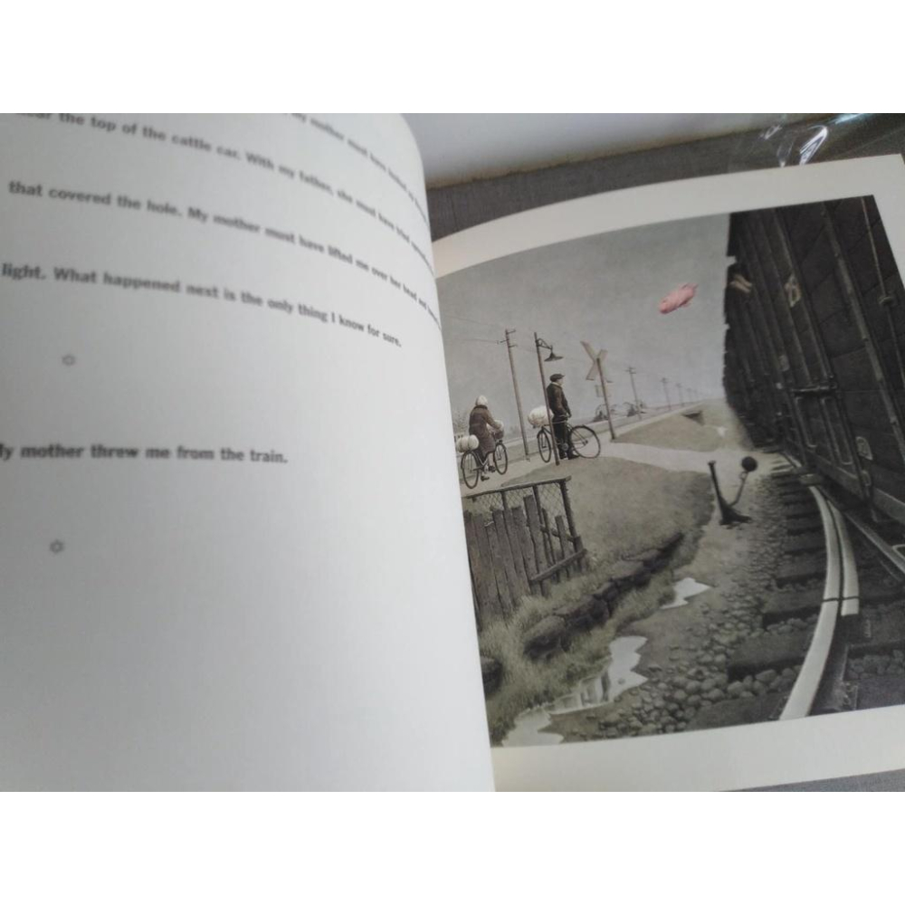 現貨平裝英文繪本Erika＇s Story🍀Roberto Innocenti用圖畫故事講述愛、悲傷和戰爭的殘酷🍀缺書店 - 缺書店【英文童書 ...