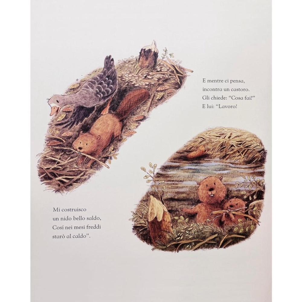 訂購英文繪本Little Bear＇s Spring🍀BElli Woollard & Briony May Smith - 缺書店【英文童書 ...