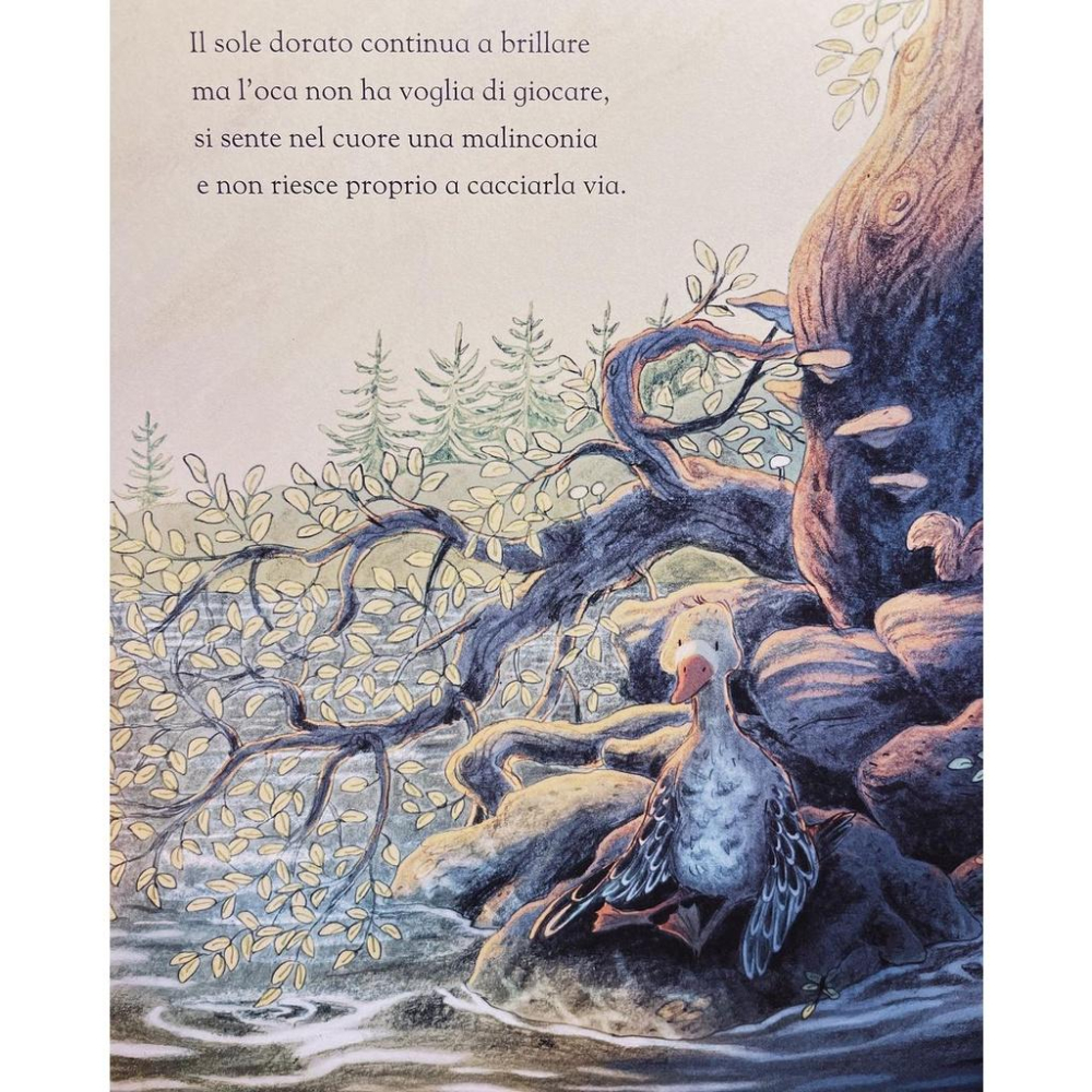 訂購英文繪本Little Bear＇s Spring🍀BElli Woollard & Briony May Smith - 缺書店【英文童書 ...