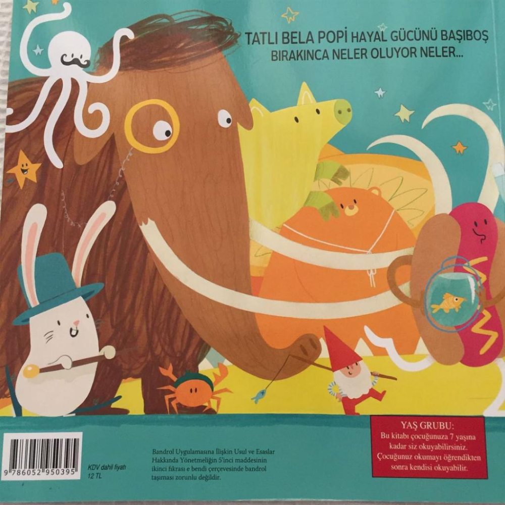 現貨平裝英文繪本Poppy Pickle:A Little girl with A Big Imagination翻翻書 - 缺書店【英文童書 ...