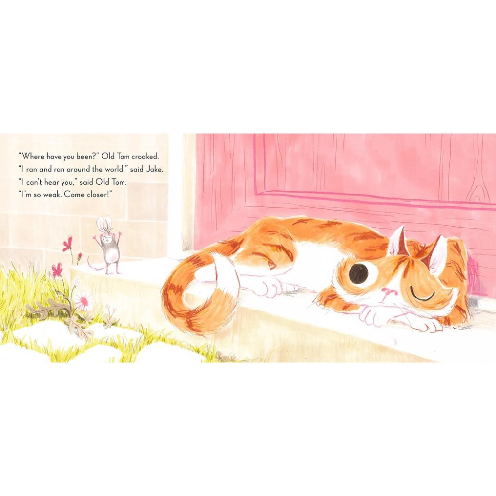 現貨🍀英文幽默繪本🍀Can＇t Catch Me!🍀Timothy Knapman & Simona Ciraolo - 缺書店【英文童書繪本 ...