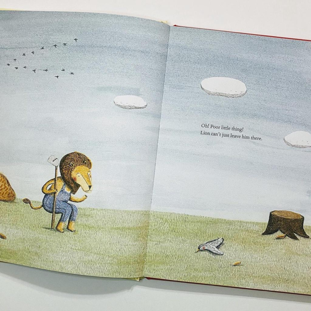 精装英文繪本🍀The Lion and the Bird🍀Marianne Dubuc色鉛筆插圖色調柔和故事詩意暖心 - 缺書店【英文童書繪本 ...