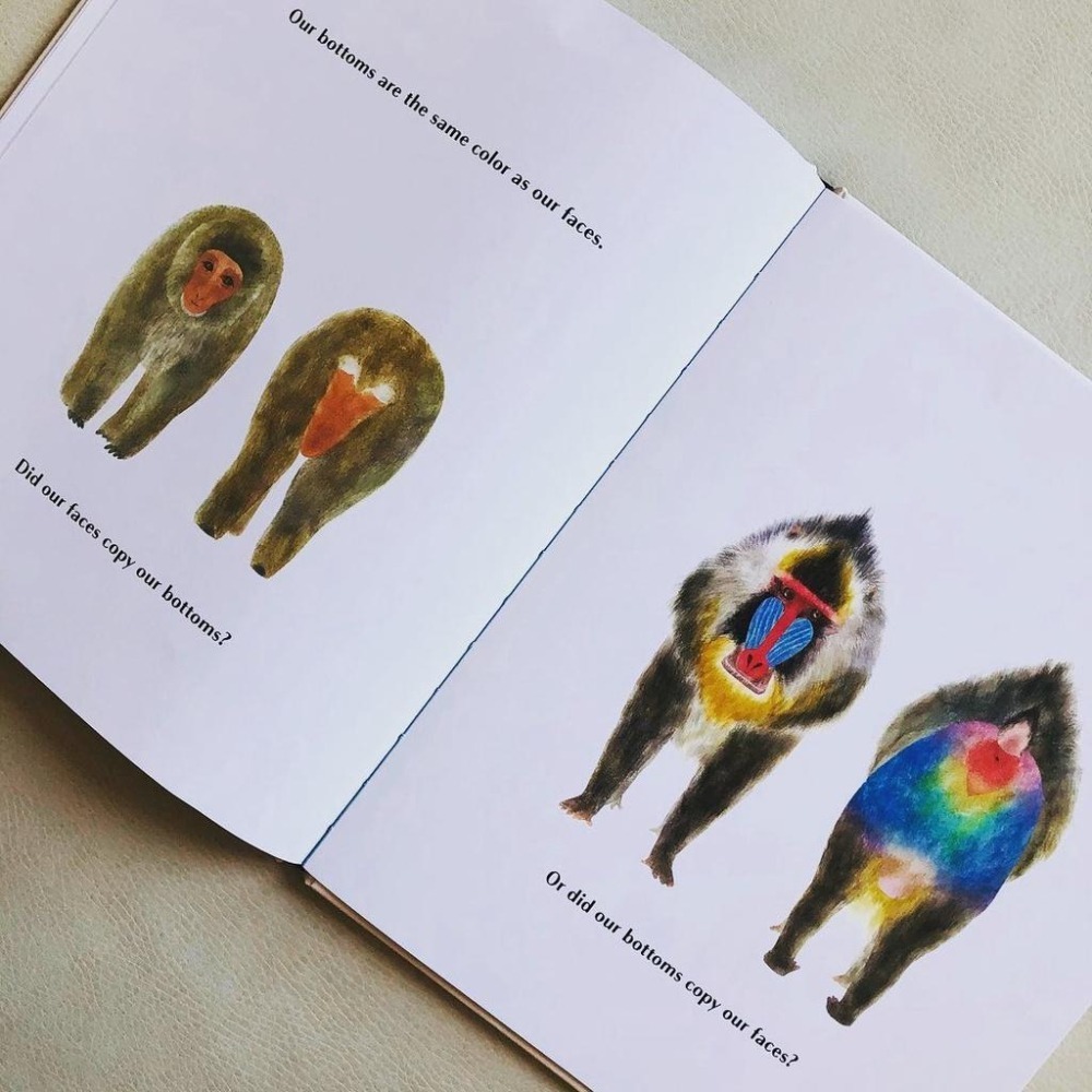 缺書店🍀精裝英文幽默繪本 Animals Brag About Their Bottoms引以為傲的屁屁（非常有趣.) - 缺書店【英文童書繪 ...