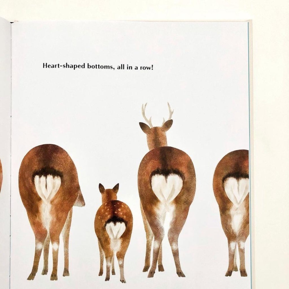 缺書店🍀精裝英文幽默繪本 Animals Brag About Their Bottoms引以為傲的屁屁（非常有趣.) - 缺書店【英文童書繪 ...