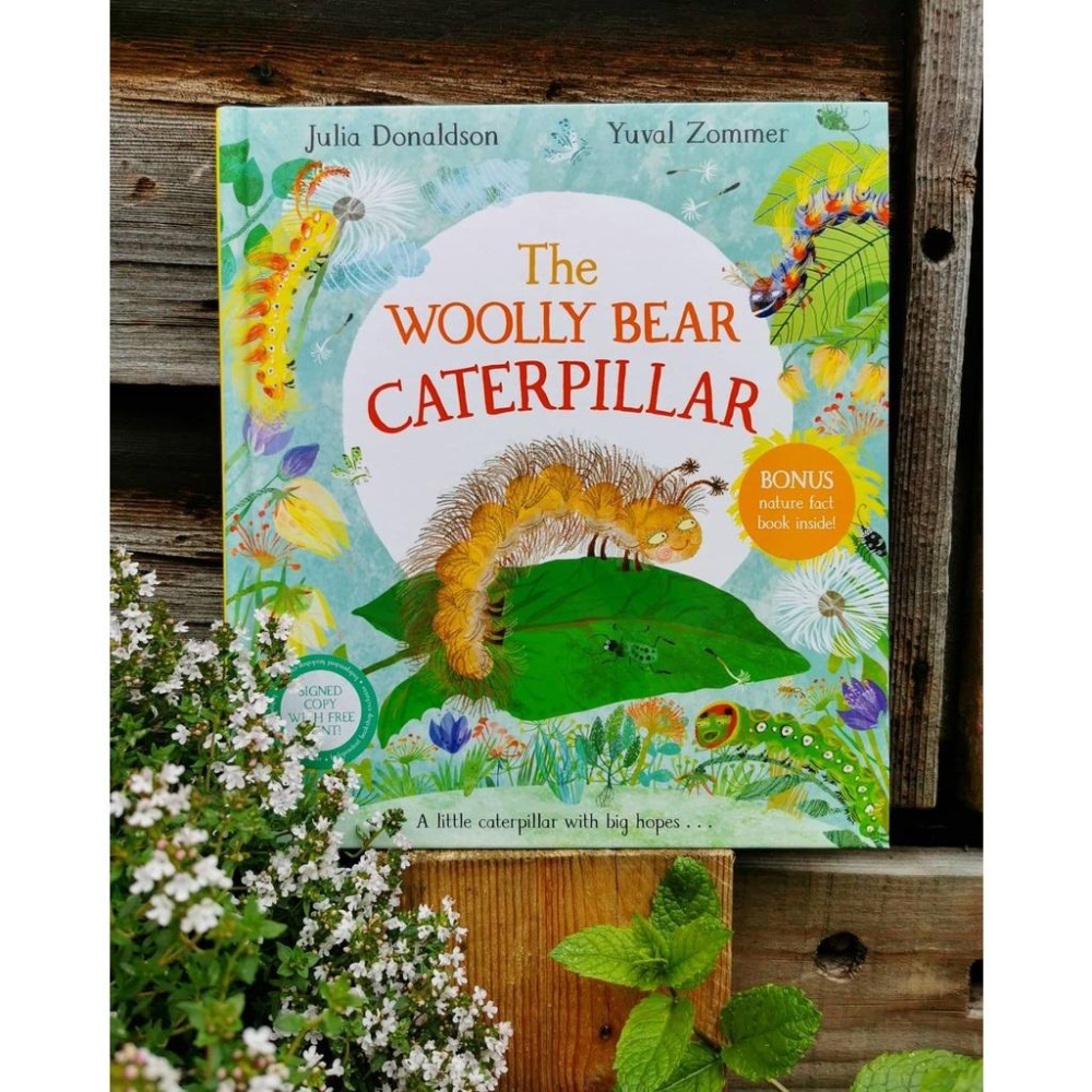 現貨【贈音檔】🍀精裝英文繪本The Woolly Bear Caterpillar🍀Julia Donaldson - 缺書店【英文童書繪本 ...