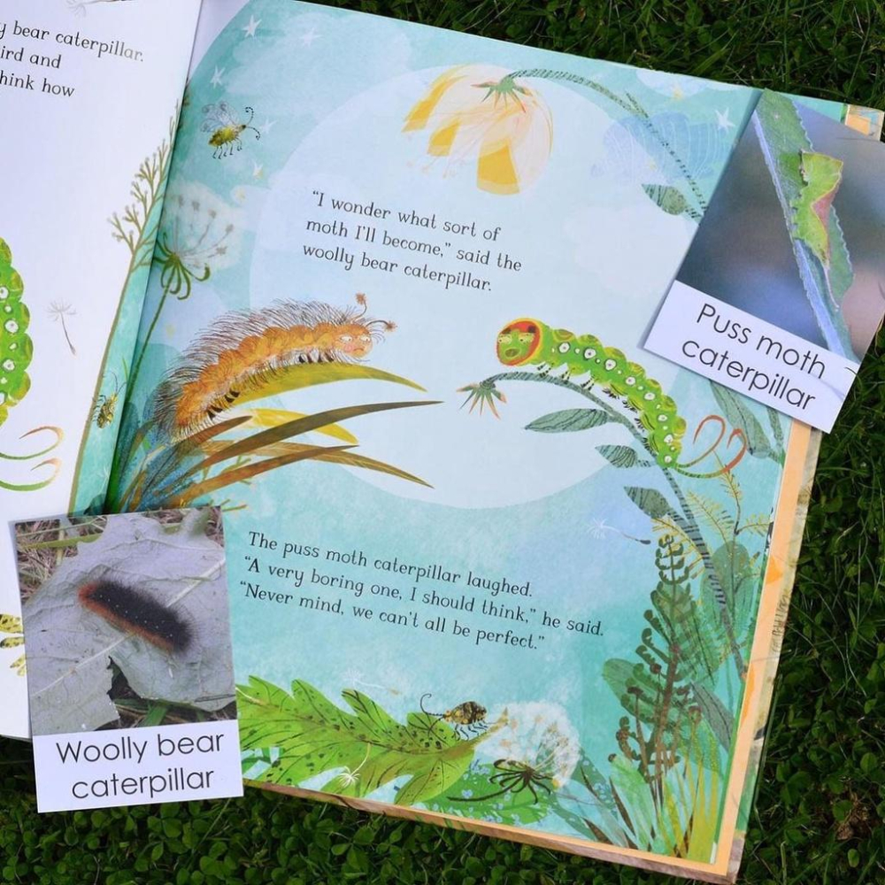 現貨【贈音檔】🍀精裝英文繪本The Woolly Bear Caterpillar🍀Julia Donaldson - 缺書店【英文童書繪本 ...