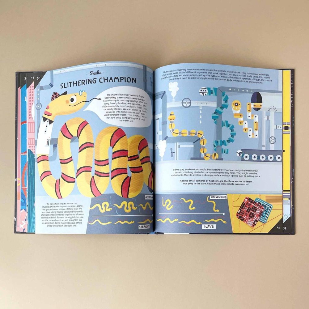 精裝英文科普🍀Invented by Animals: Meet the creature....由動物帶給我們的發明 - 缺書店【英文童書繪 ...