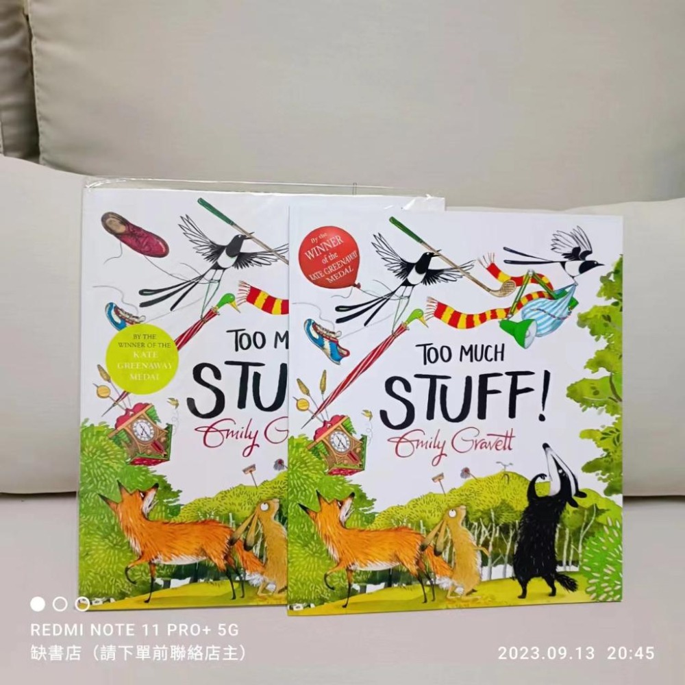 現貨🍀英文繪本Too Much Stuff🍀《Tidy 整潔》同作者知名插畫家Emily Gravett🍀【缺書店】 - 缺書店【英文童書繪本 ...