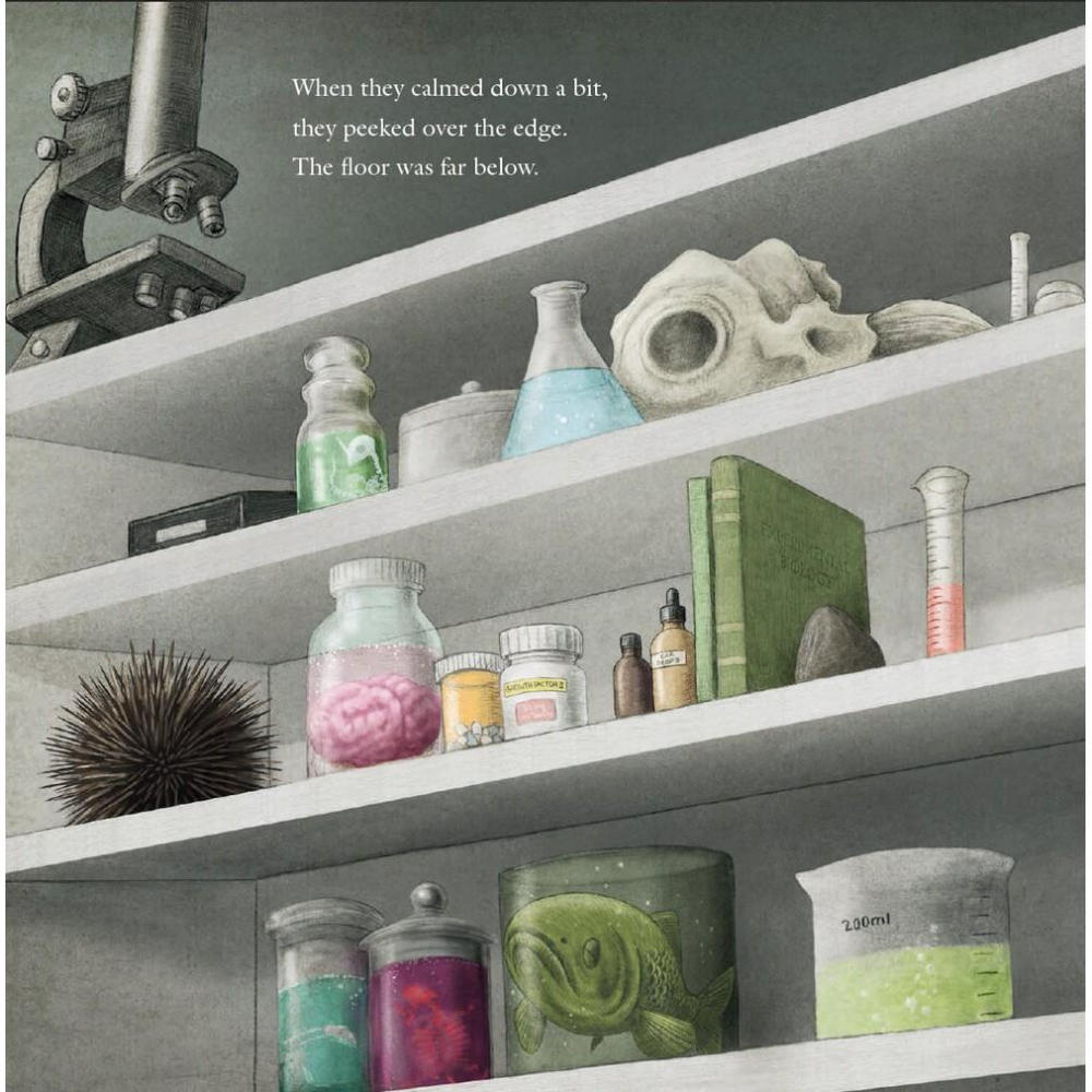 【贈音檔】現貨The Barnabus Project🍀做自己勇於面對不完美🍀the Fan Brothers范恩兄弟 - 缺書店【英文童書繪 ...