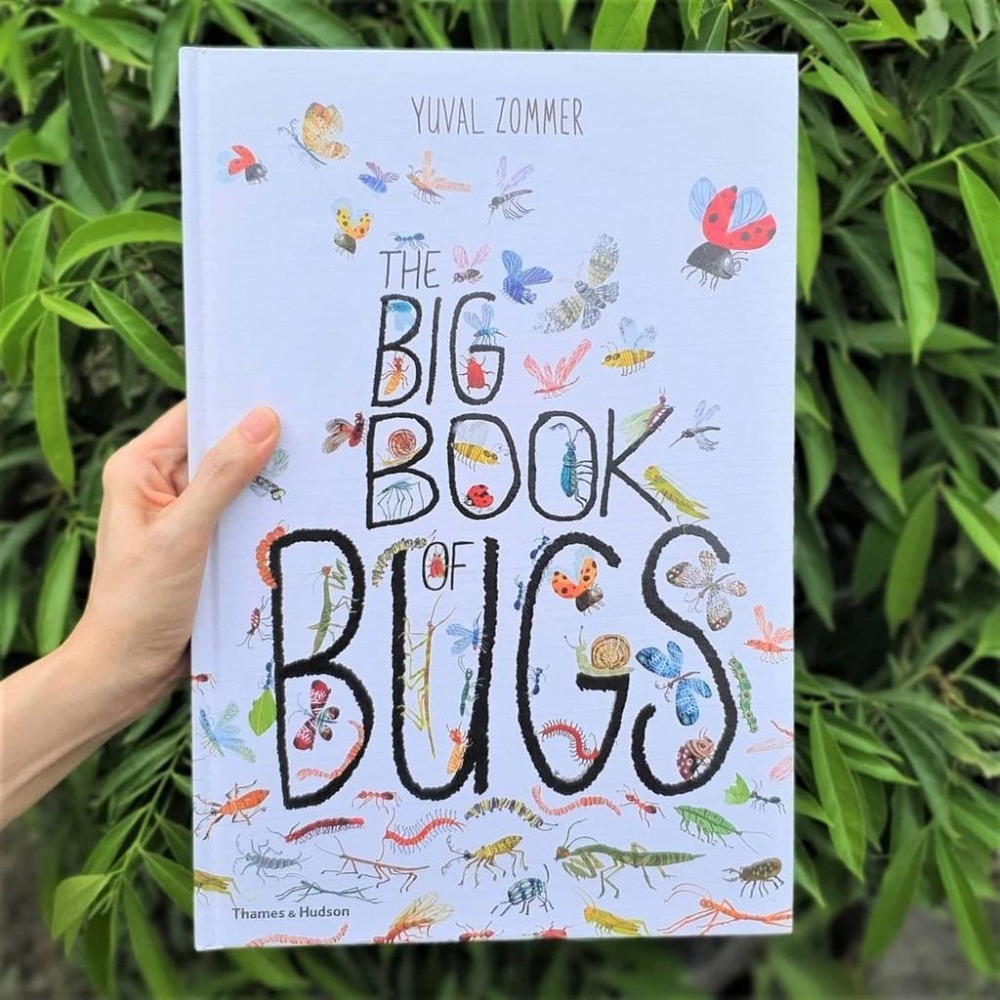 訂購🍀精裝英文知識科普繪本🍀The Big Book of Bugs蟲蟲大書 🍀插畫家Yuval Zommer【缺書店】 - 缺書店【英文童書 ...