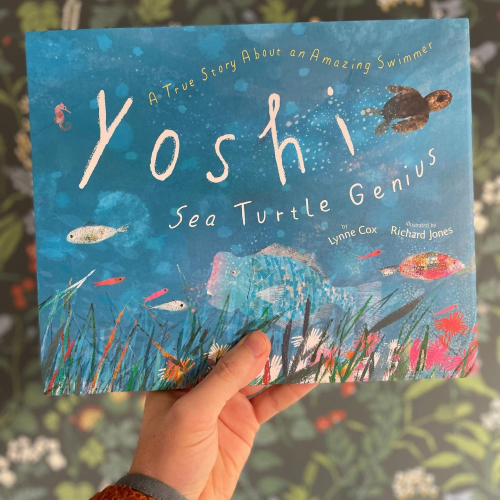 Yoshi, Sea Turtle Genius: A True Story about an Amazing Swim - 缺書店【英文童書 ...