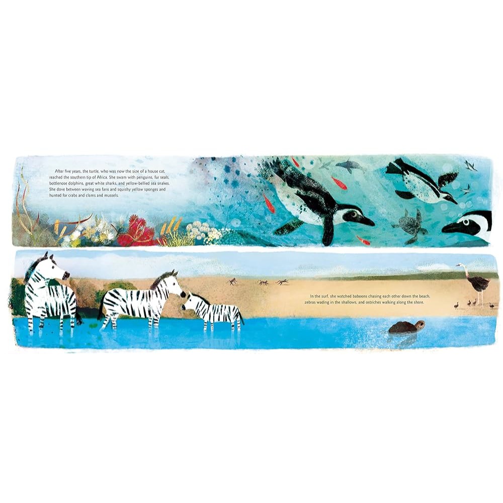 Yoshi, Sea Turtle Genius: A True Story about an Amazing Swim - 缺書店【英文童書 ...