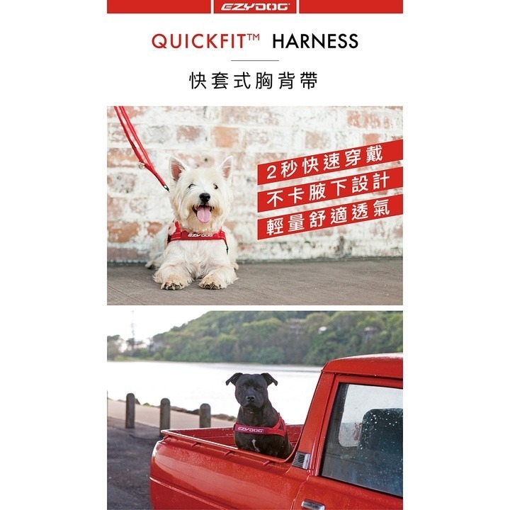 EZYDOG 快套式胸背帶 XS-XL號 適合好動不喜歡穿胸背帶的狗狗 狗胸背帶 犬用『WANG』 - Wang旺寵物精品 - iOPEN Mall