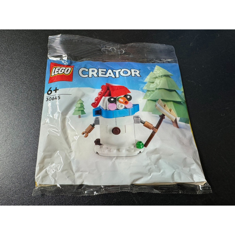 ★董仔樂高★ LEGO 30645 創意 CREATOR 雪人 polybag 全新現貨 - 董仔樂高 - iOPEN Mall