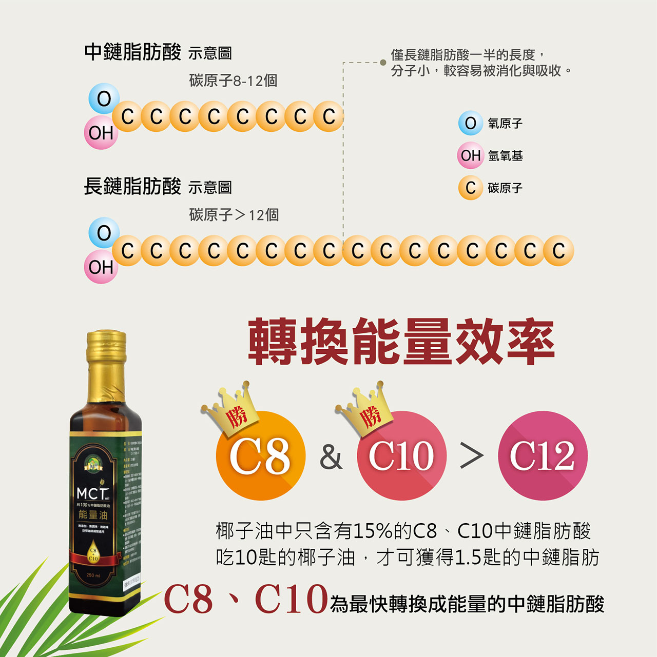 【肯寶KB99】MCT油 (椰子油來源C8+C10，比例6:4) - 250ml - 肯寶KB99品牌館 - iOPEN Mall